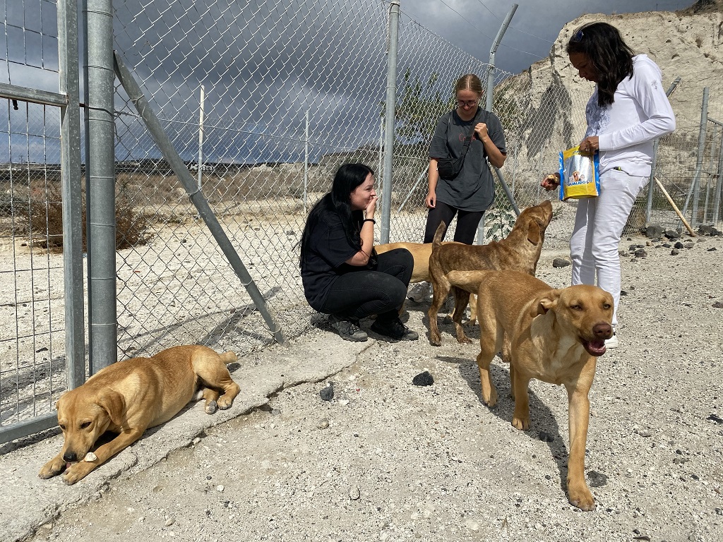 DECEMBER 2021 - Animal Police Association