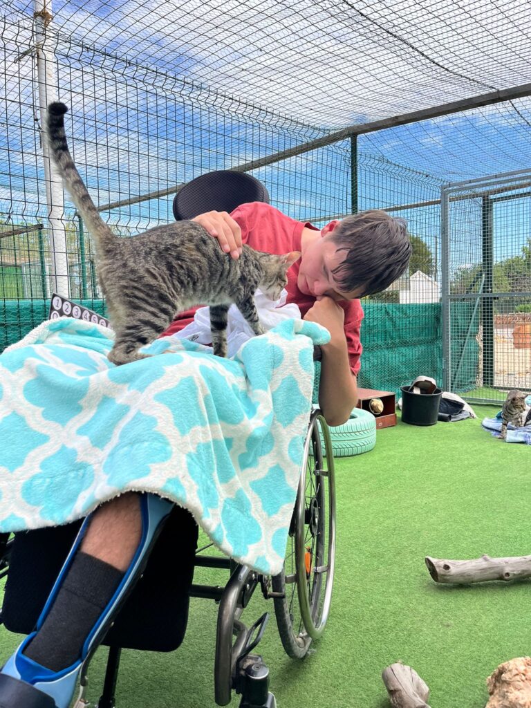 July 2025 - Animal Police Association